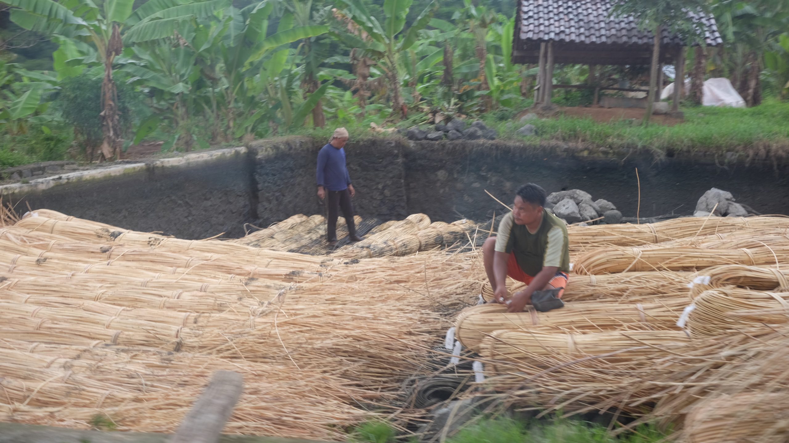 RATTAN STORY – Raya Craft